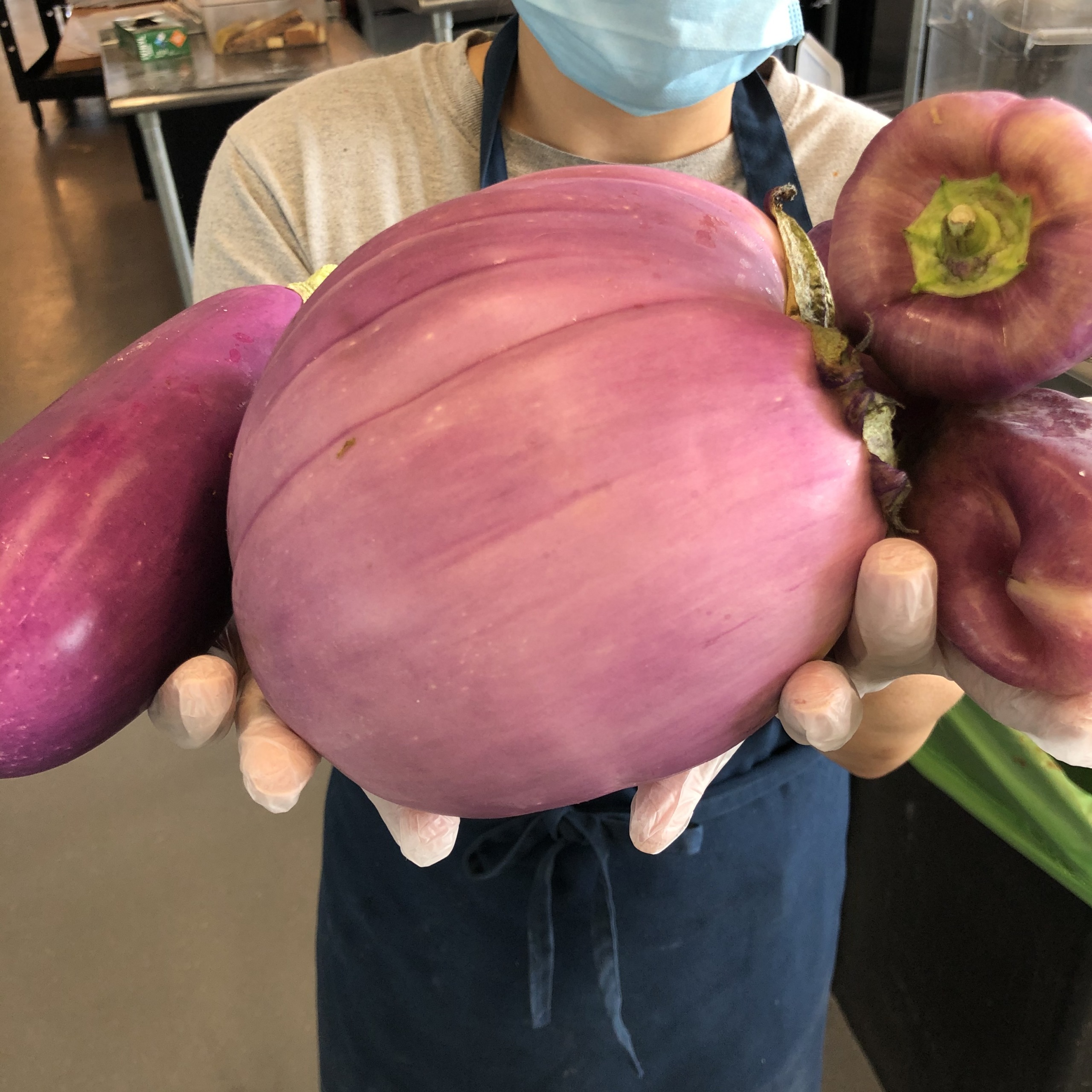 Summer Meal Boxes Are Live Clover Food Lab